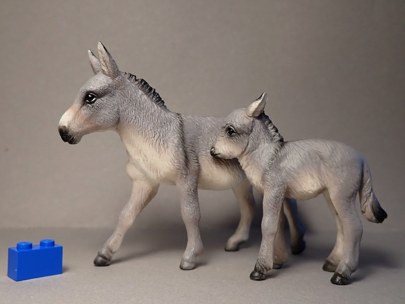 Lovely donkeys from Mojo 2020 :D