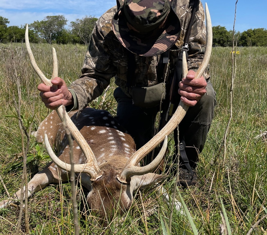 Untitled — Postimages