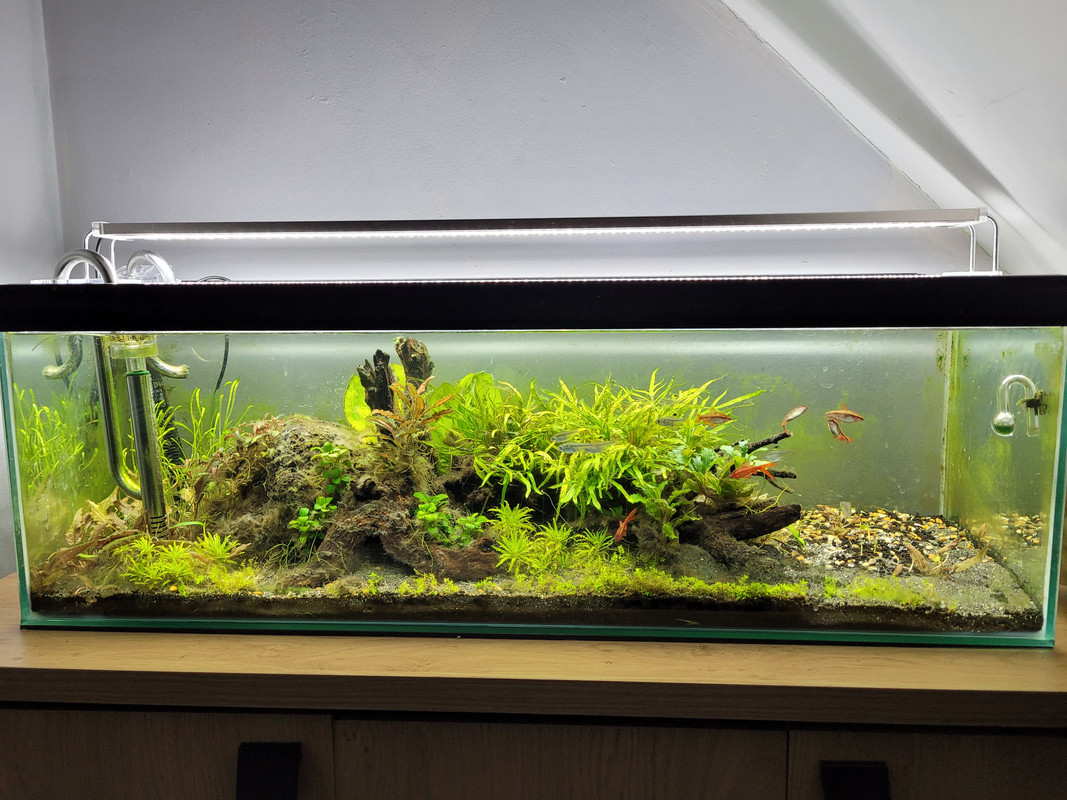 20230105 200219 — Postimages