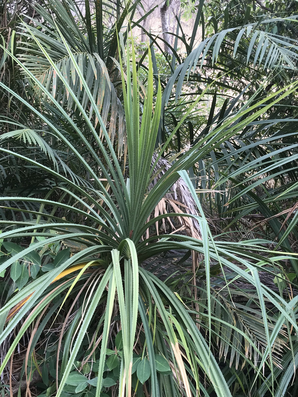 IMG 1183 — Postimages