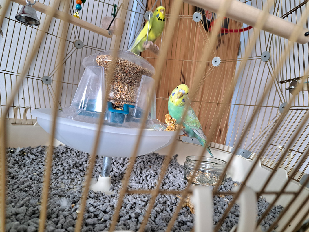 20230716 160540 — Postimages