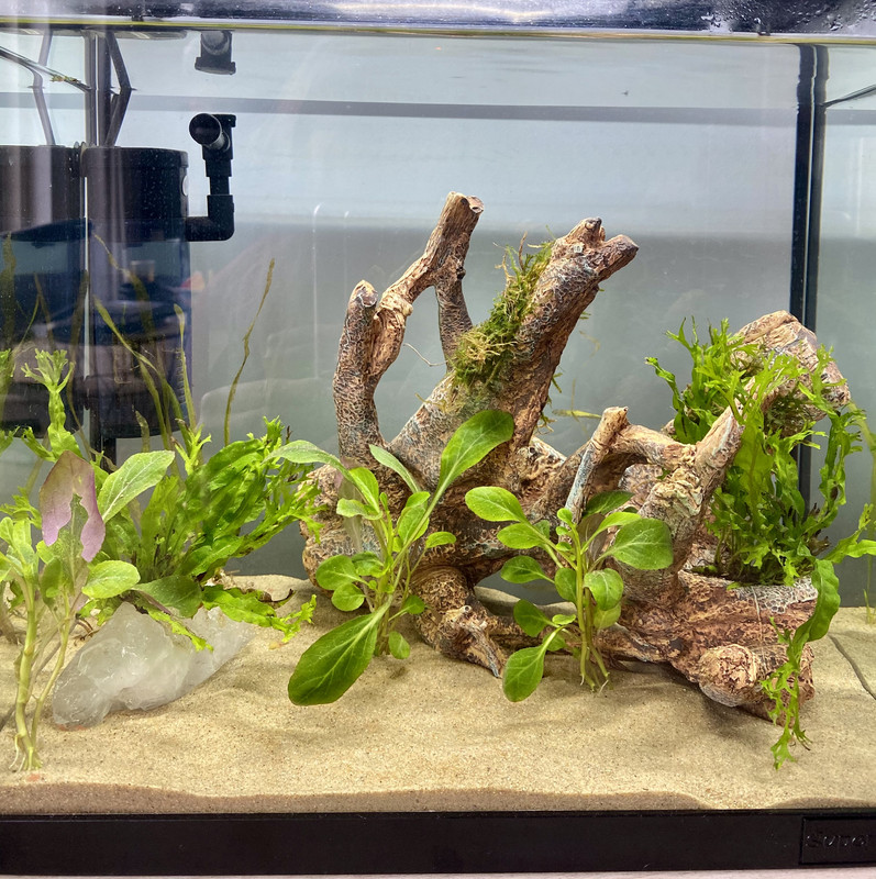 579 E29 D4 988 E 4 E01 B030 1 CDA2 F1388 FC — Postimages