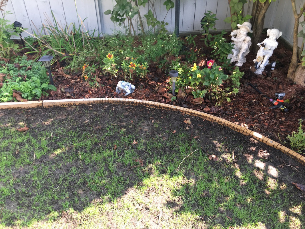 2017 Backyard Reno Day 30 3 small — Postimages