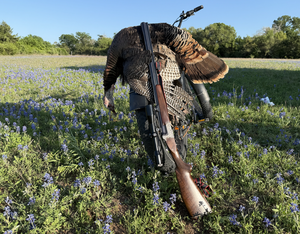 Screen Shot 2025 09 29 at 1 43 34 AM — Postimages