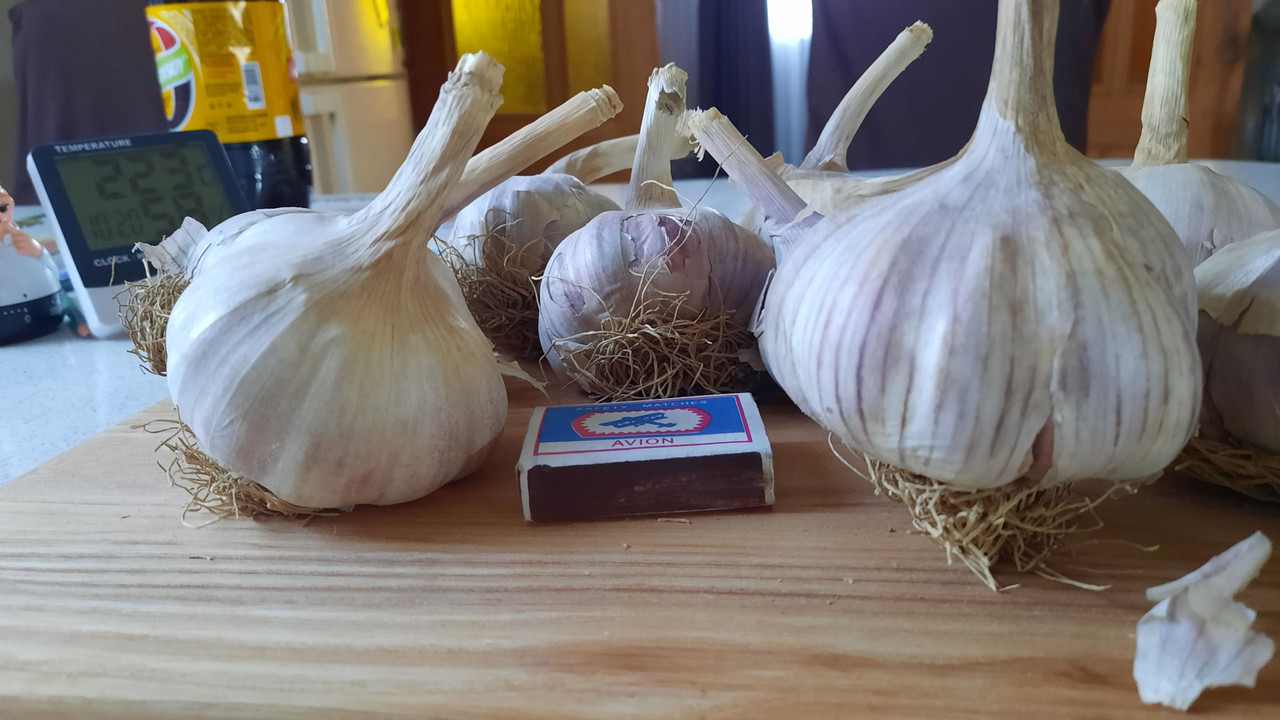 3 09 24 1 — Postimages