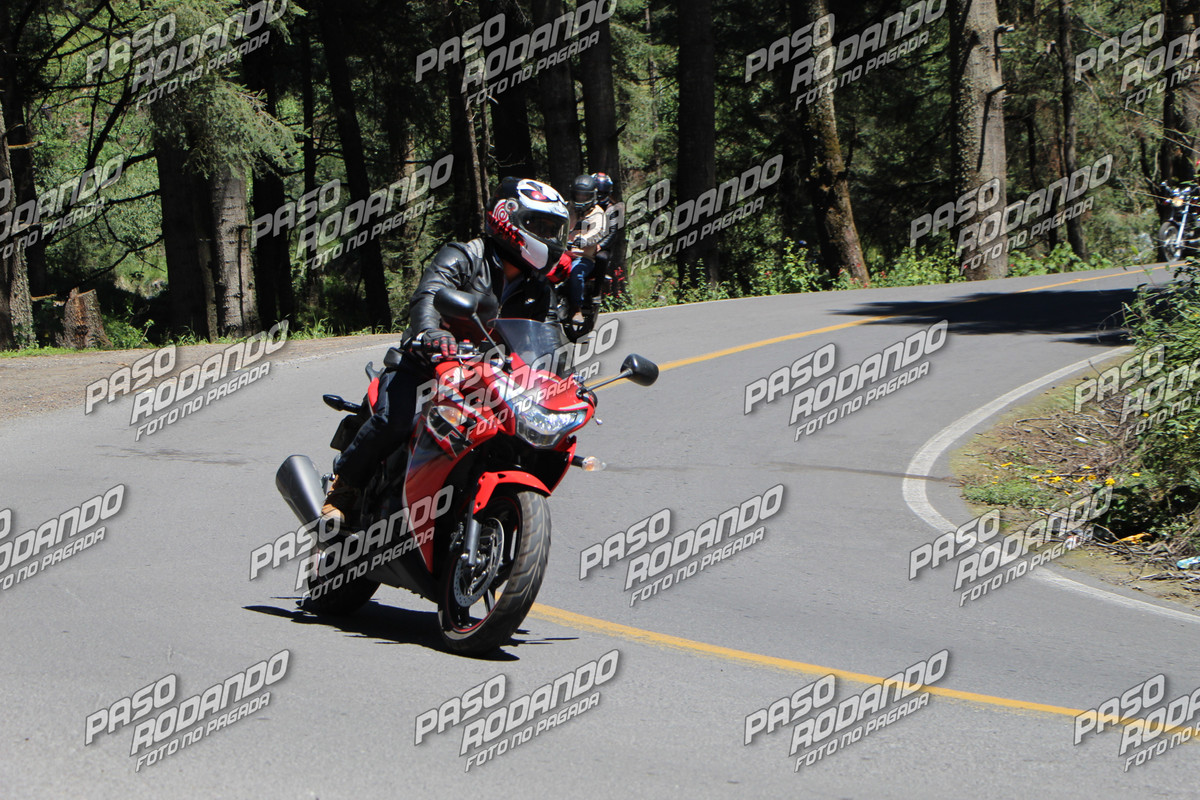 IMG 5608 wm 16700512 399999999 watermarked — Postimages