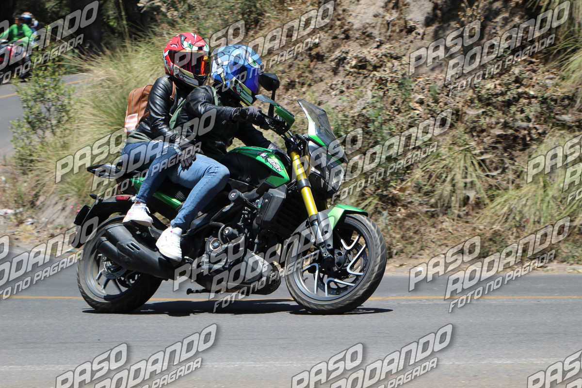 IMG 0032 wm 9023490 6 watermarked — Postimages