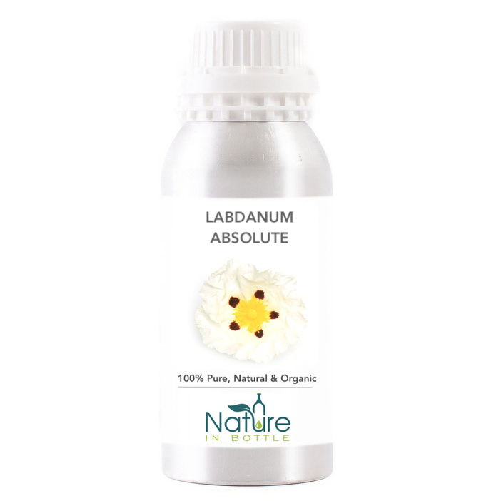 Labdanum Absolute - Cistus ladaniferus Essential Oil