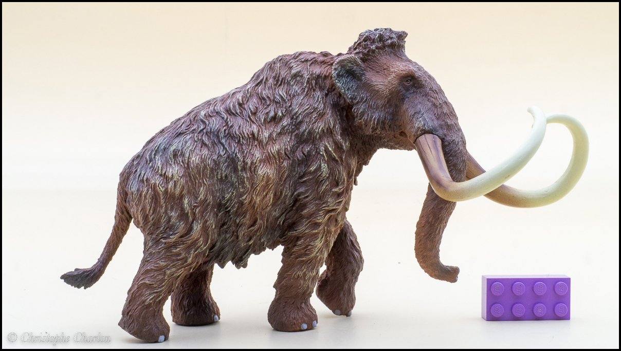 The TNG Wooly mammoth: A walkaround by Kikimalou