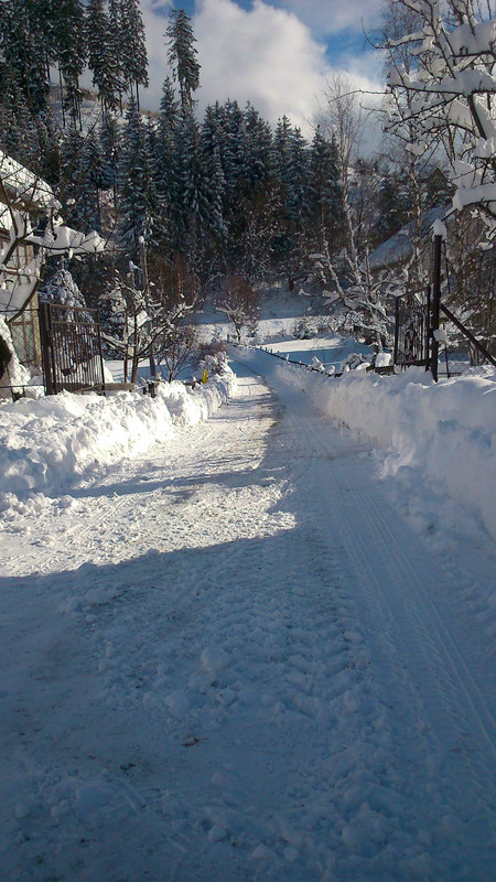 DSC 0115 1 — Postimages