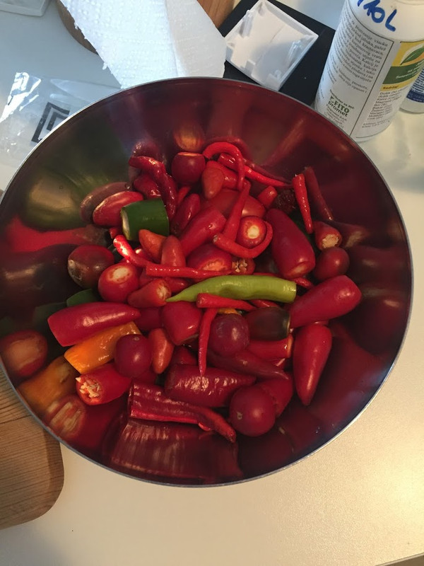 IMG 9769 — Postimages