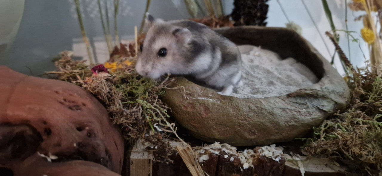 20230407 150712 — Postimages