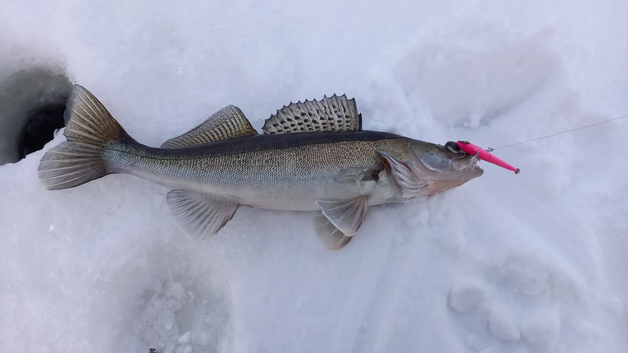 20220104 101818 — Postimages