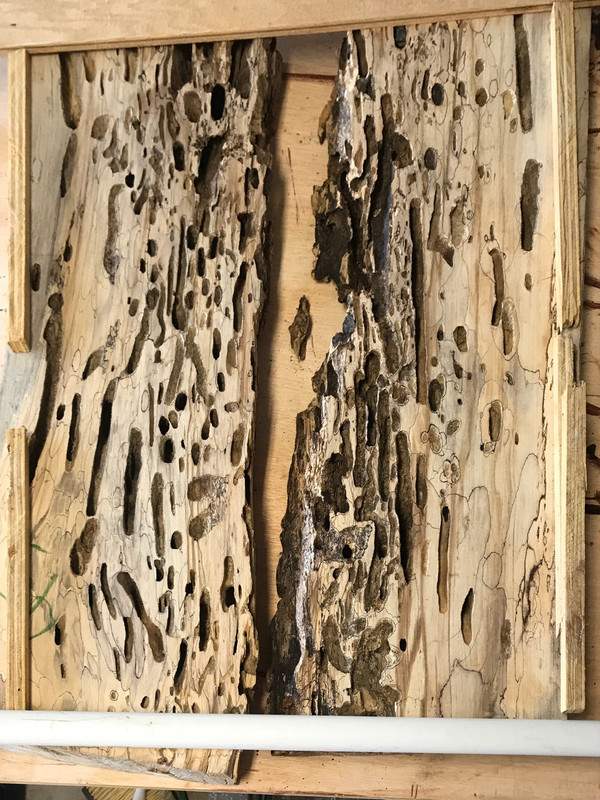 IMG 2344 — Postimages