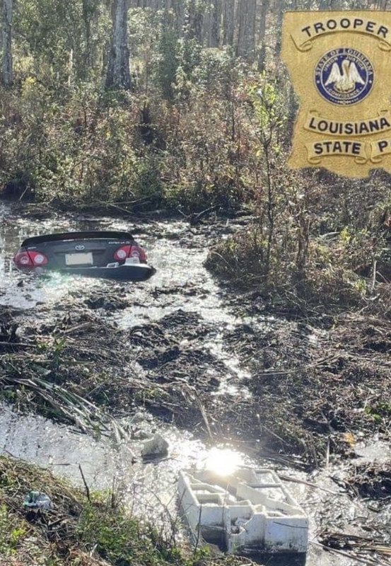 A couple of swamp baws save a family from a submerged vehicle | O-T Lounge