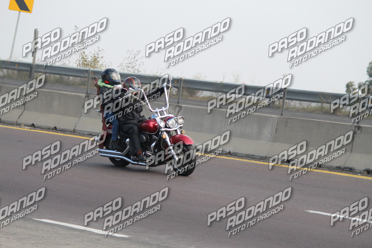 IMG 9077 wm 2333379 3000000007 watermarked — Postimages