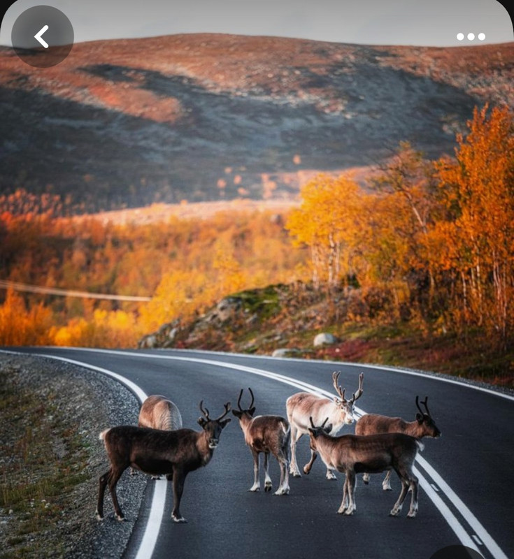 Screenshot 20231126 212658 Pinterest — Postimages