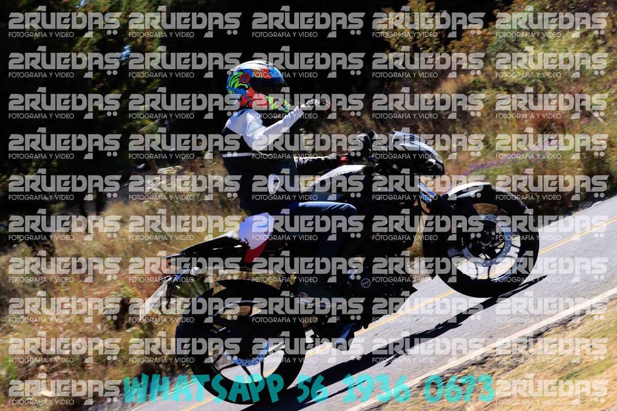 MG 0542 — Postimages