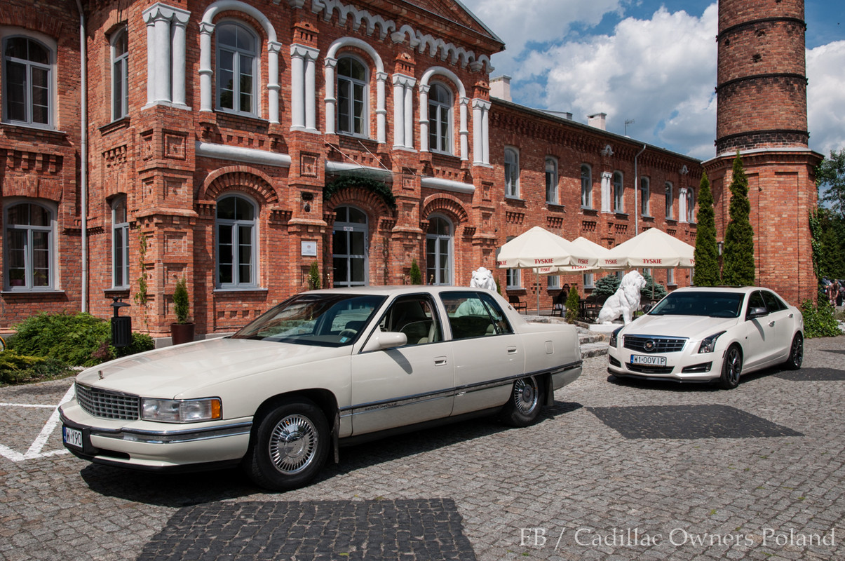 DSC 0563 — Postimages