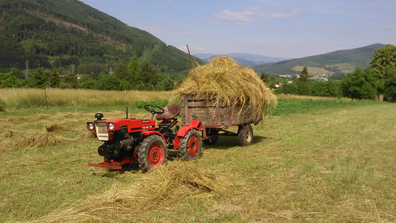 DSC 0189 — Postimages