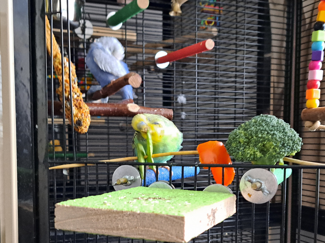 20230220 152544 — Postimages