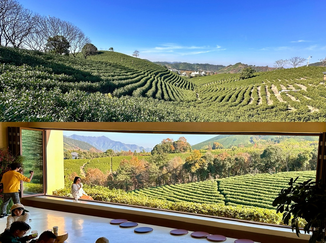 IMG 9886 — Postimages