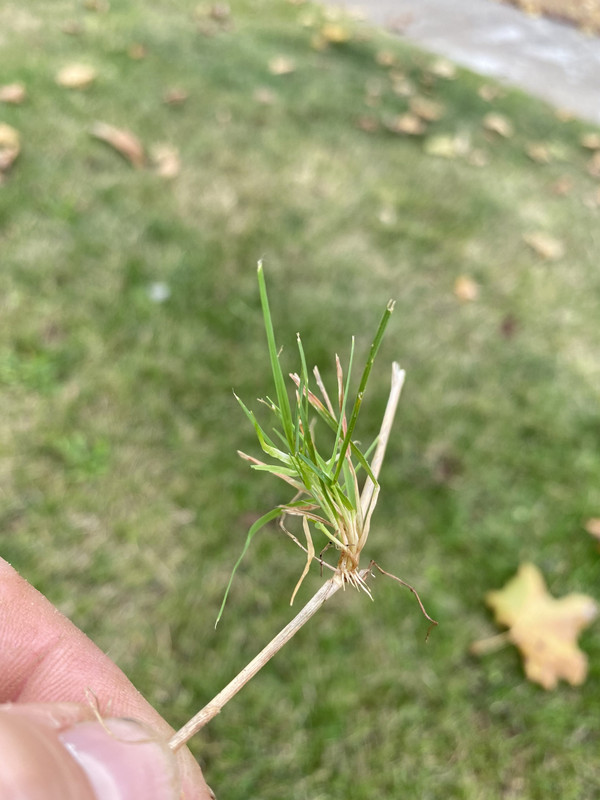 IMG 2792 — Postimages