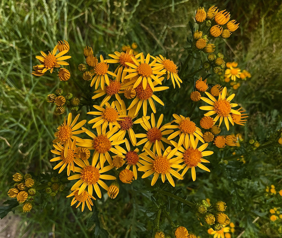 E6 C3 A3 EE E6 D5 4 F8 B 9 F11 FBA93 AC15 DB1 — Postimages