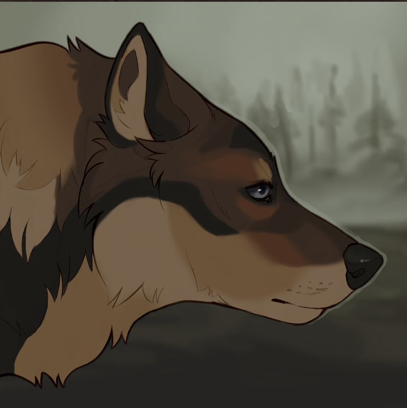Woylie's Art Shop ~ commissions closed!! |:| Wolvden