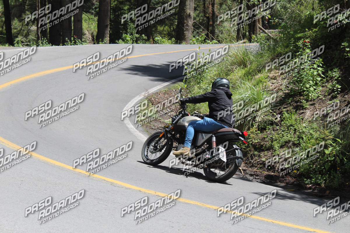 IMG 8165 wm 9334356 800000004 watermarked — Postimages