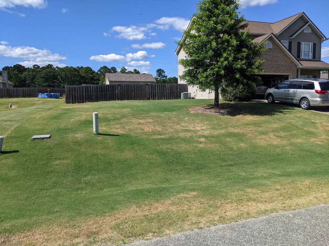 2021 05 30 front yard 2 — Postimages