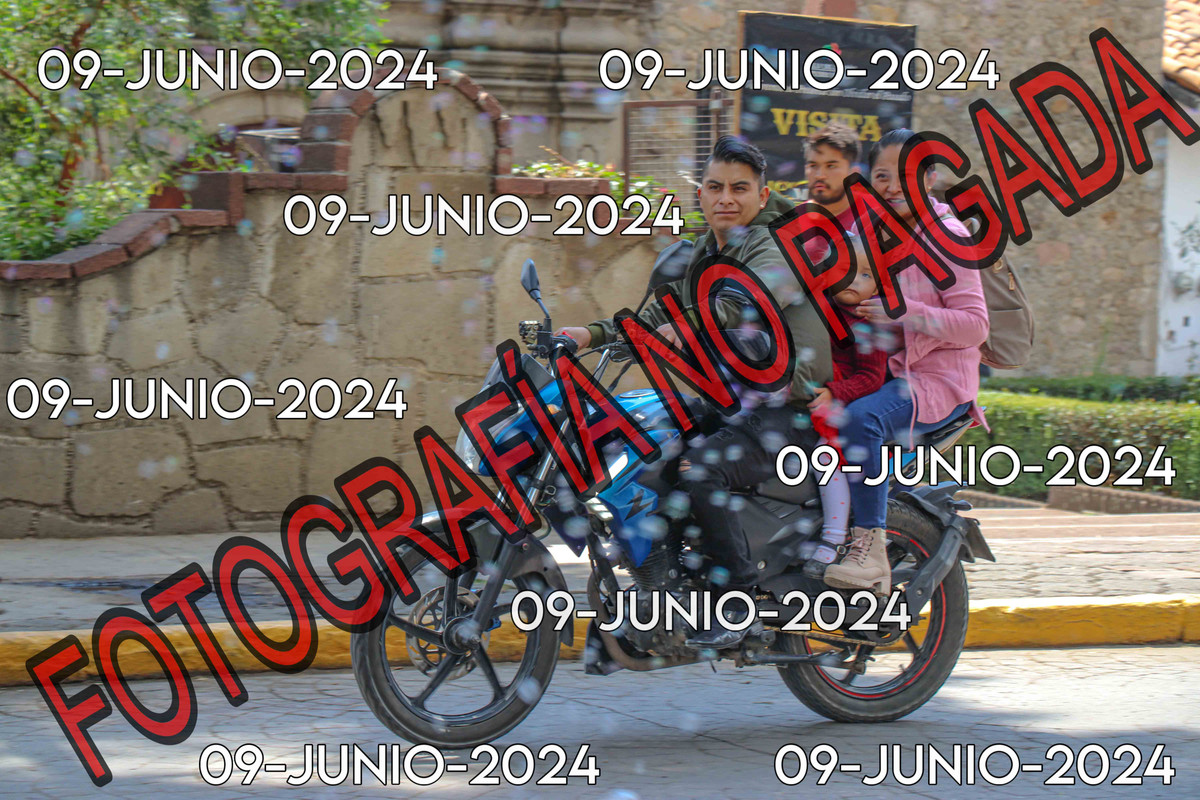 CV 351 — Postimages