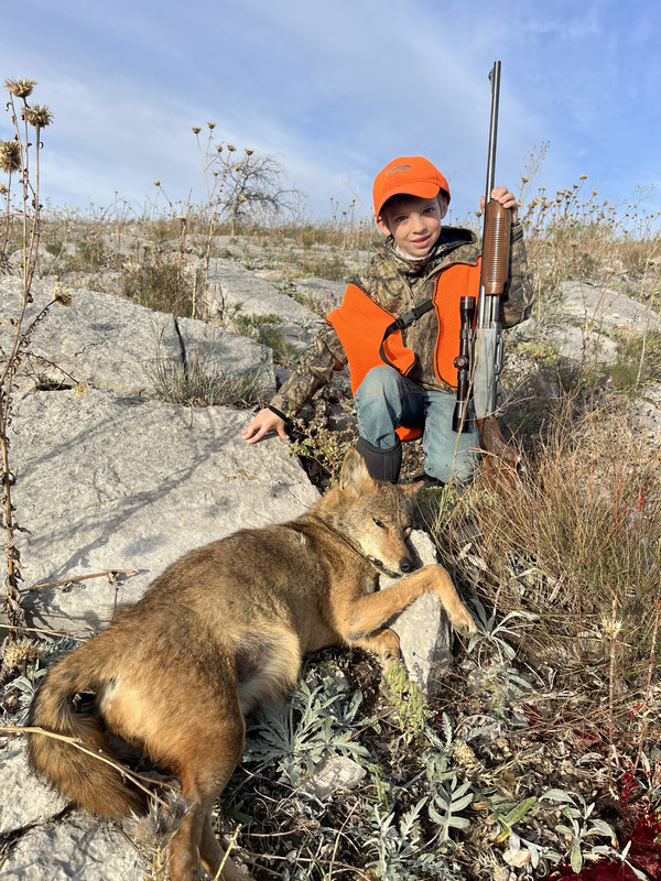 IMG 5451 — Postimages