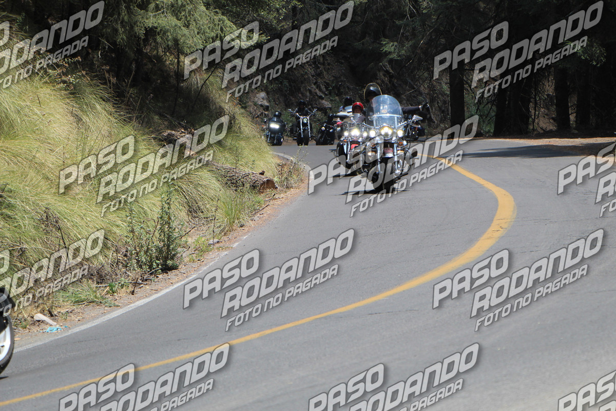 IMG 8635 wm 5962786 799999999 watermarked — Postimages