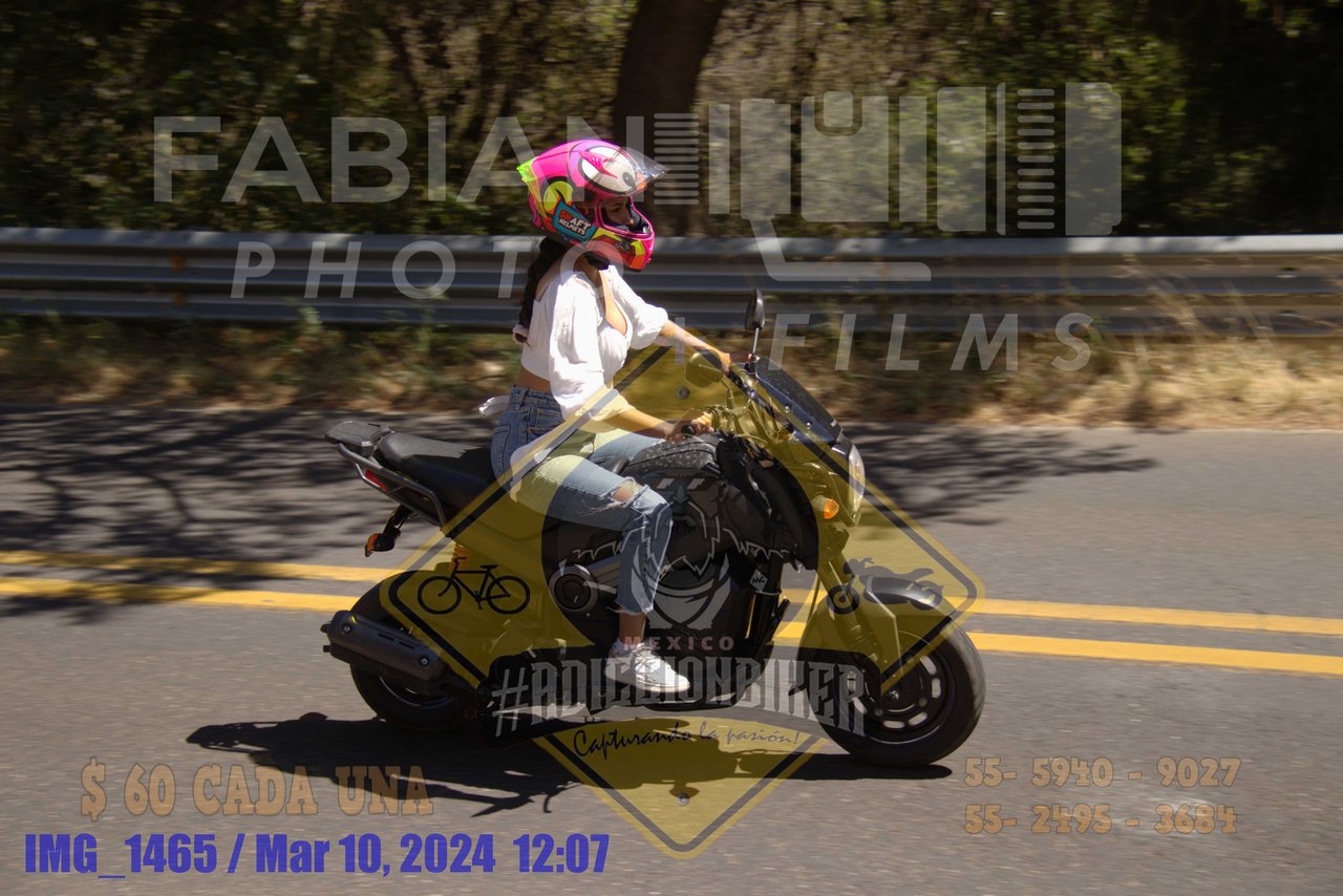 IMG 1465 — Postimages