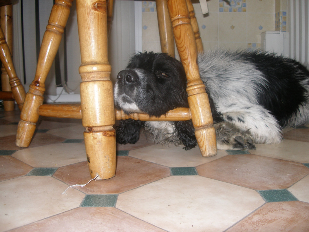 lost files 4 149 — Postimages