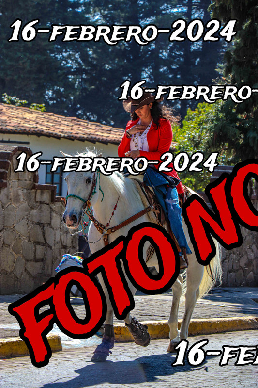 SV 129 — Postimages