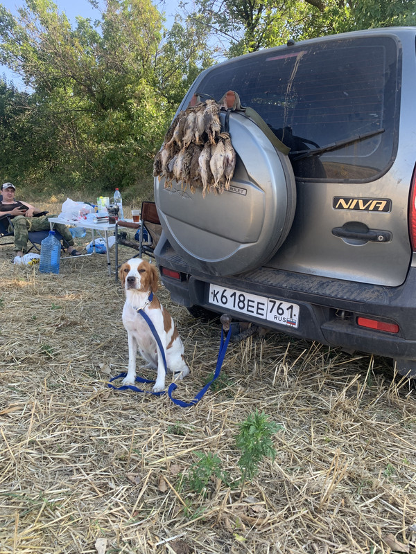 IMG 1076 — Postimages