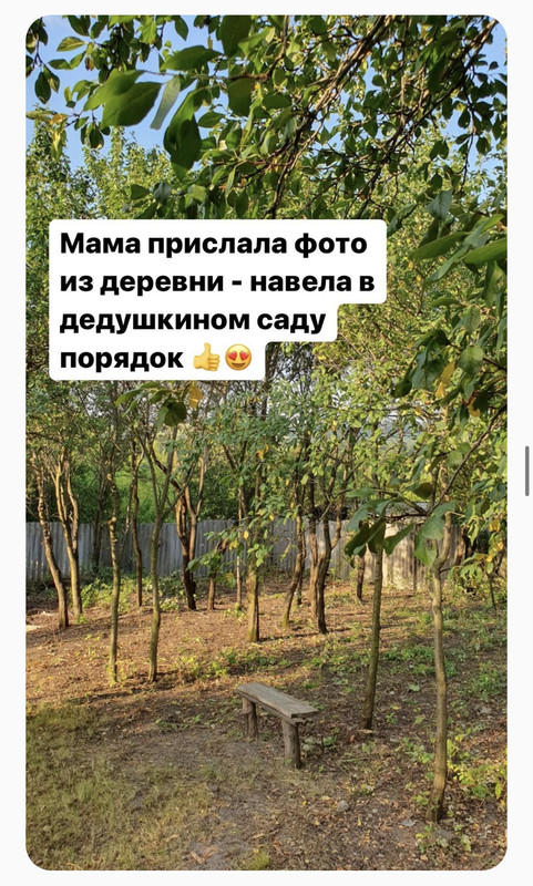 IMG 7988 — Postimages