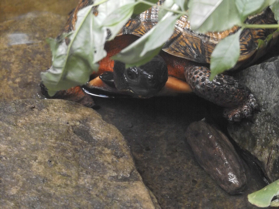 A132081330803988849 — Postimages