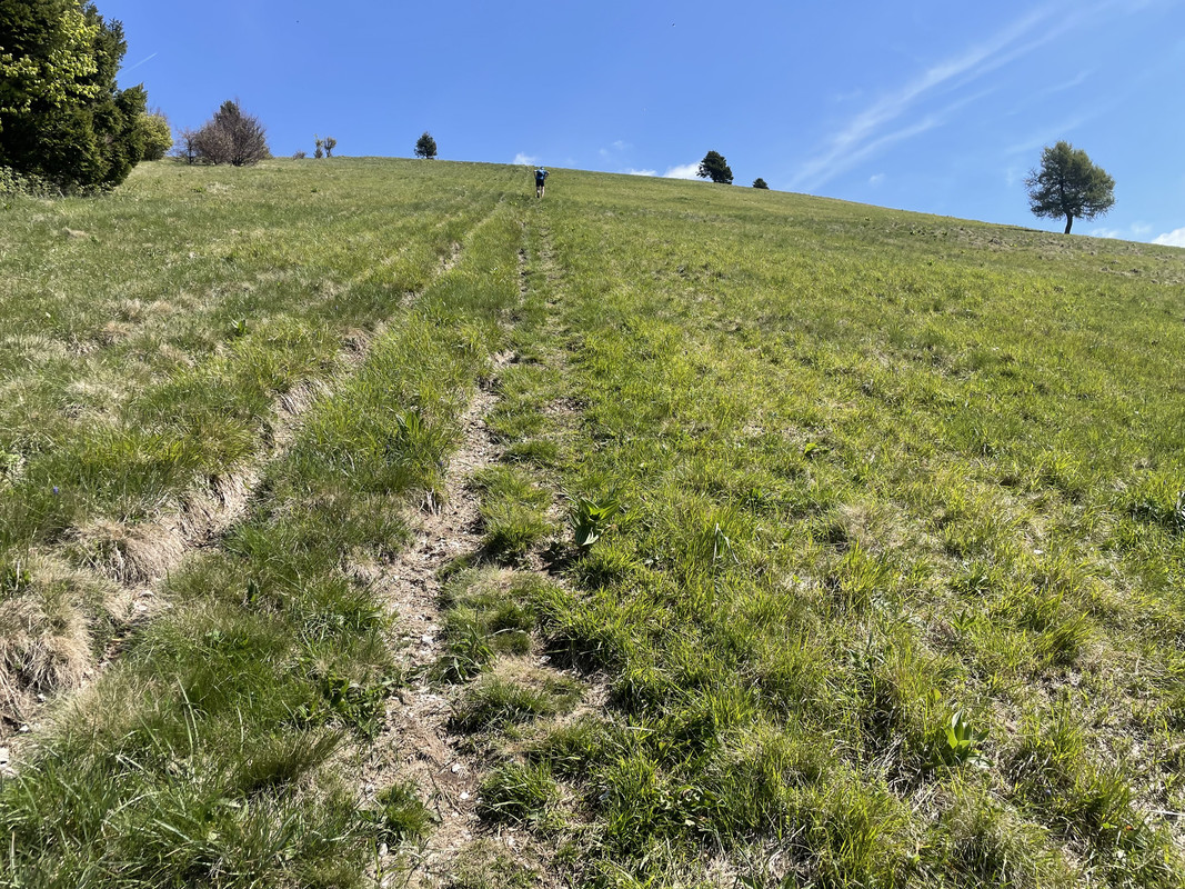 IMG 3102 — Postimages