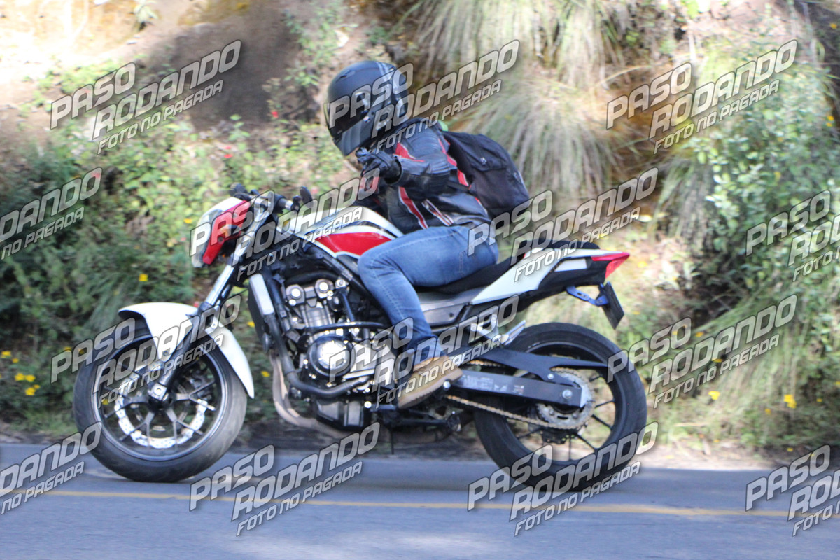 IMG 2749 wm 2907626 9000000004 watermarked — Postimages