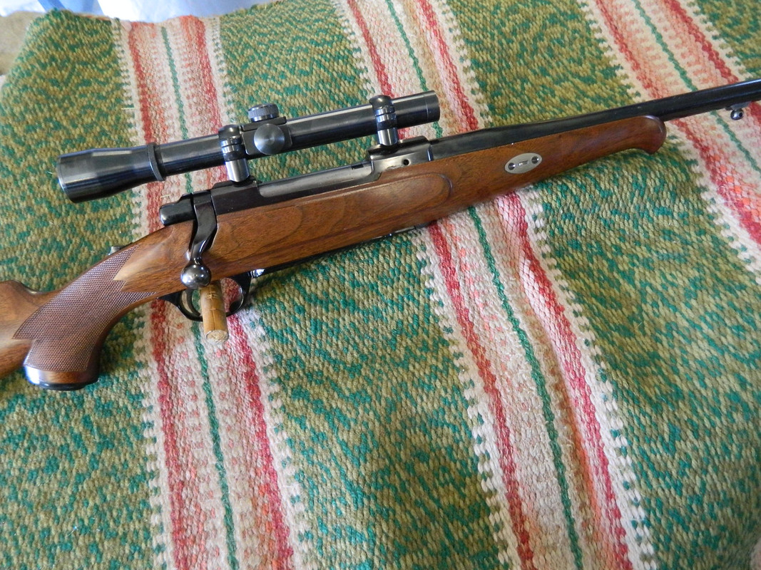 336 B1 D23 DDD8 4 C32 AC70 1918 BA7 A79 D6 — Postimages