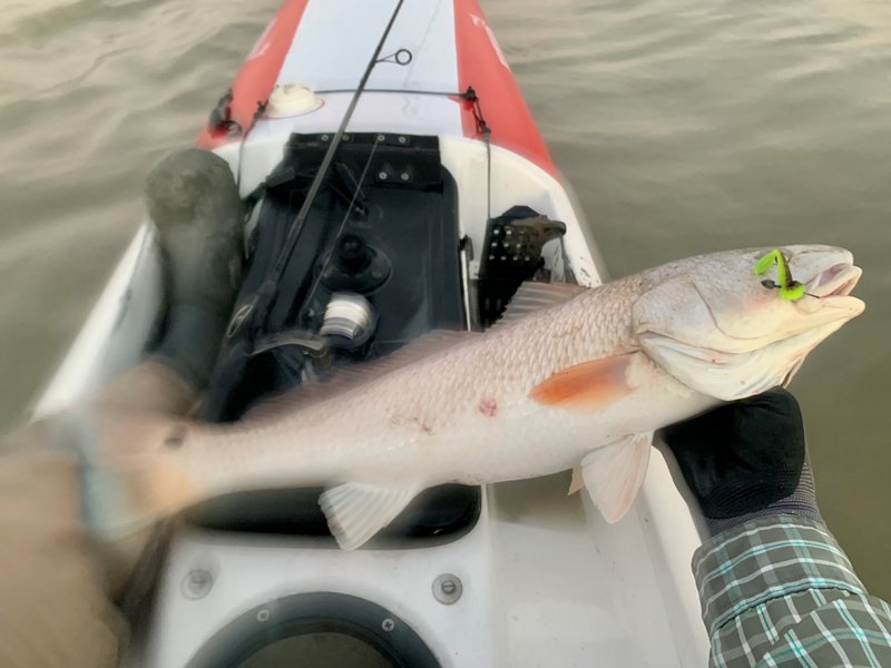 Back at it | 2 Cool Fishing Forum