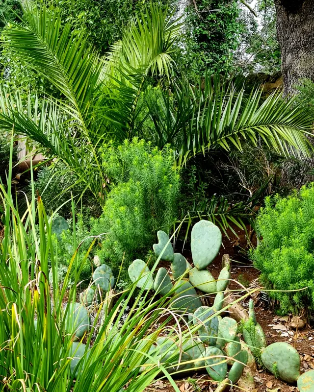 IMG 20220122 145802 307 — Postimages