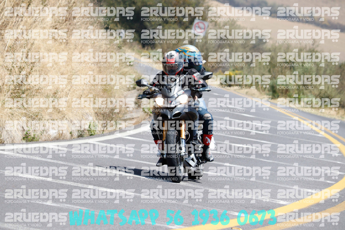 MG 1163 — Postimages