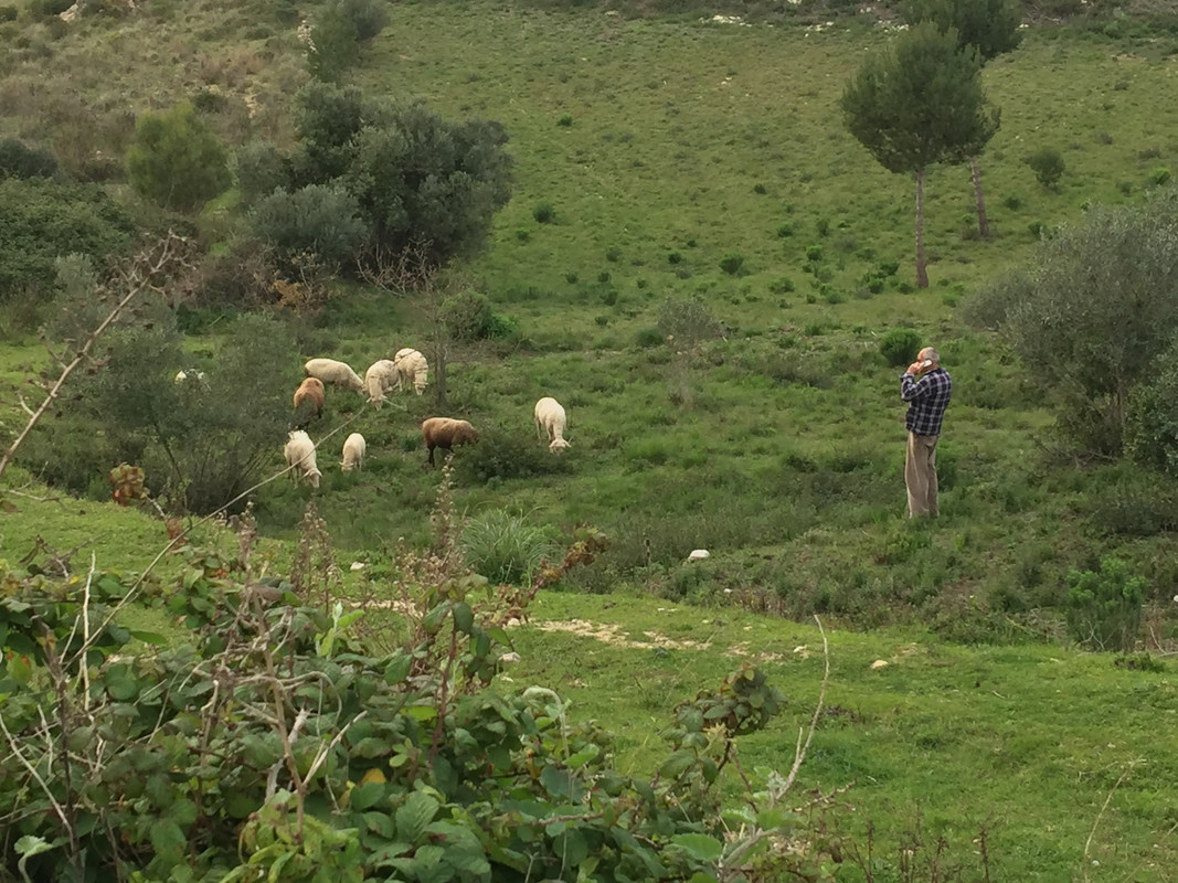 IMG 3627 — Postimages