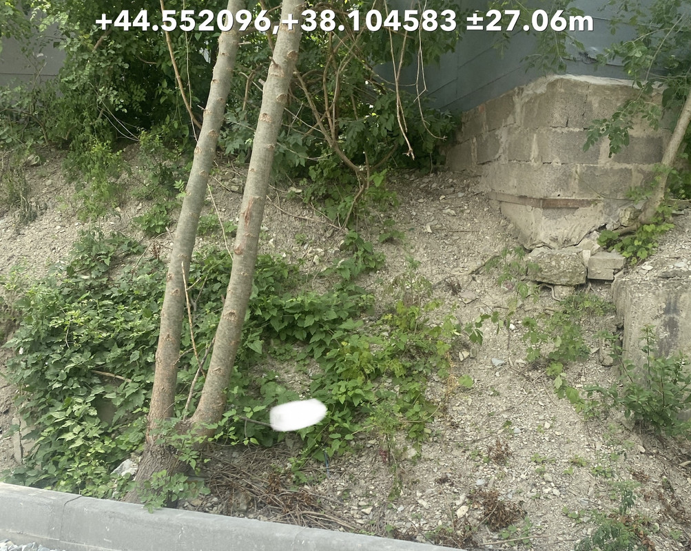 TC 00009 — Postimages