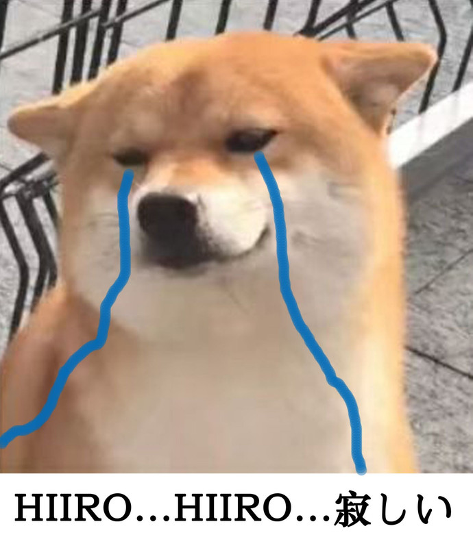 Hiiro Memes
