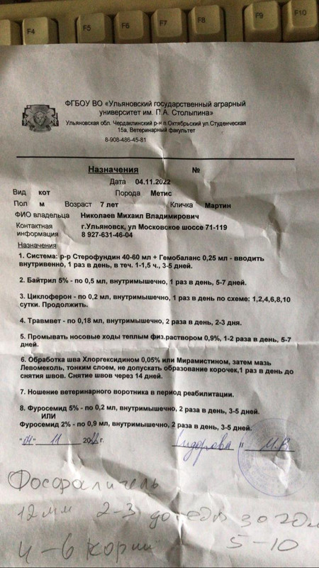 Назначения после операции — Postimages
